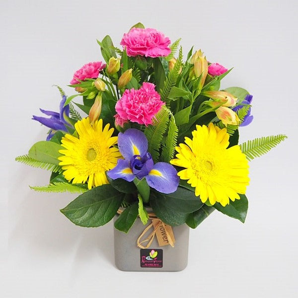 Get Well – Riverport Florist